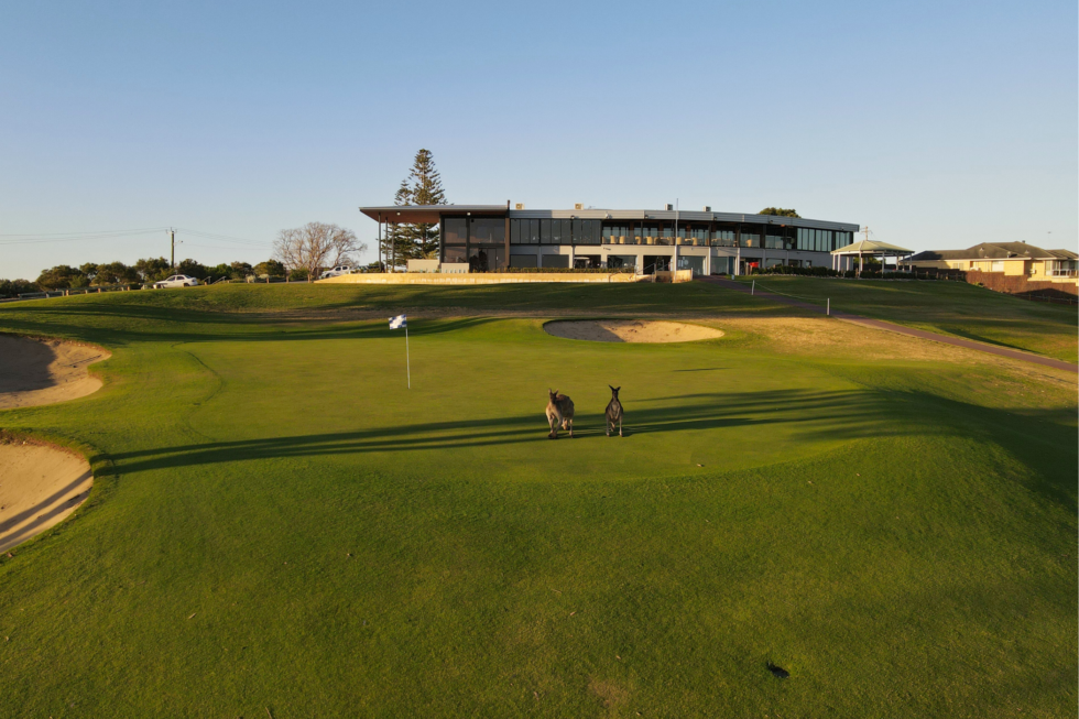 New mini golf course opens in Burswood Park - GolfWA