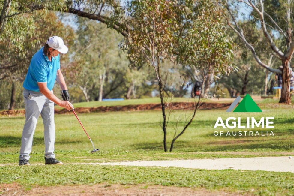 New mini golf course opens in Burswood Park - GolfWA